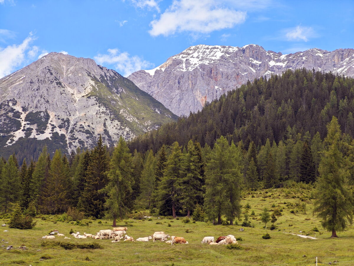 Hämmermoosalm - Wettersteingebirge